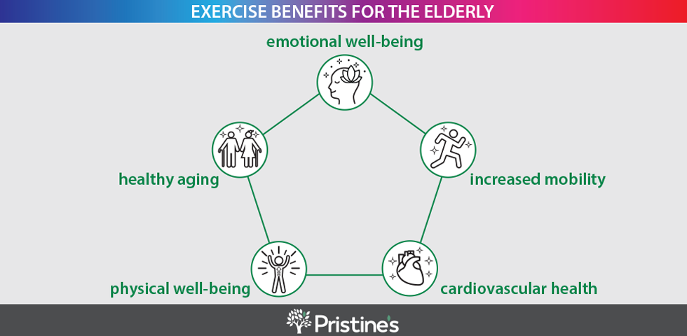Exercise Routines and Techniques for the Elderly – pristines.com