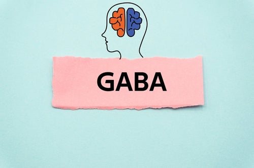GABA: A step closer to tranquility – pristines.com